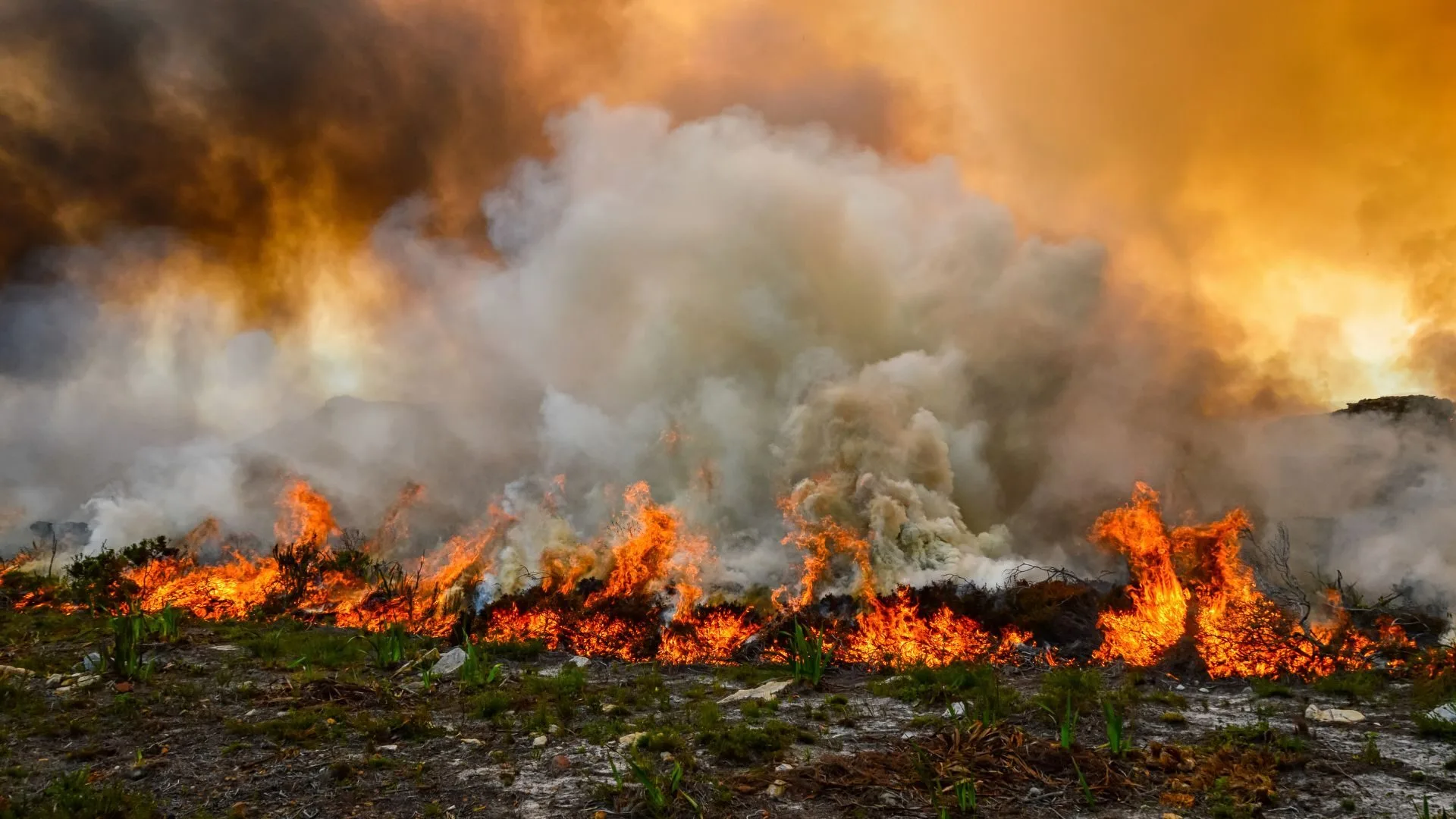 DEEP Reports 155 Wildfires In Connecticut, Urges Fire Safety Amid ...